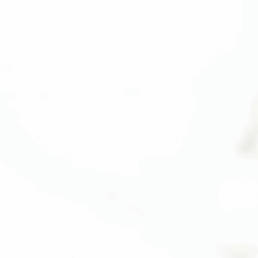 Concert White 5x5 | Pan American Ceramics